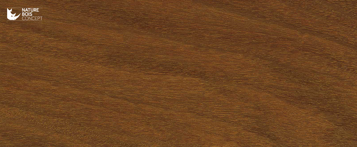 IPÉ: Présentation de cette essence de bois exotique