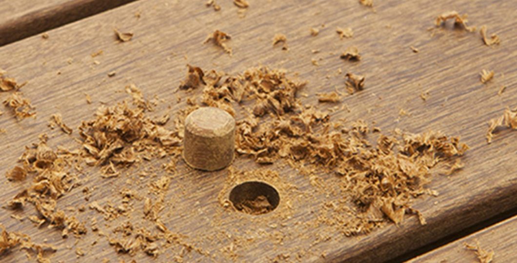 IPÉ : Présentation de cette essence de bois exotique