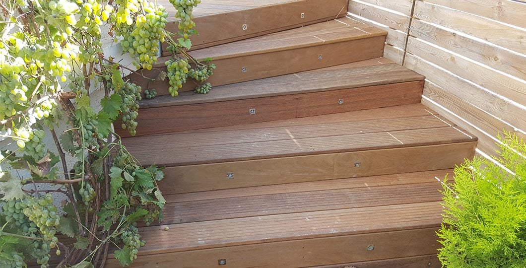 IPÉ : Présentation de cette essence de bois exotique