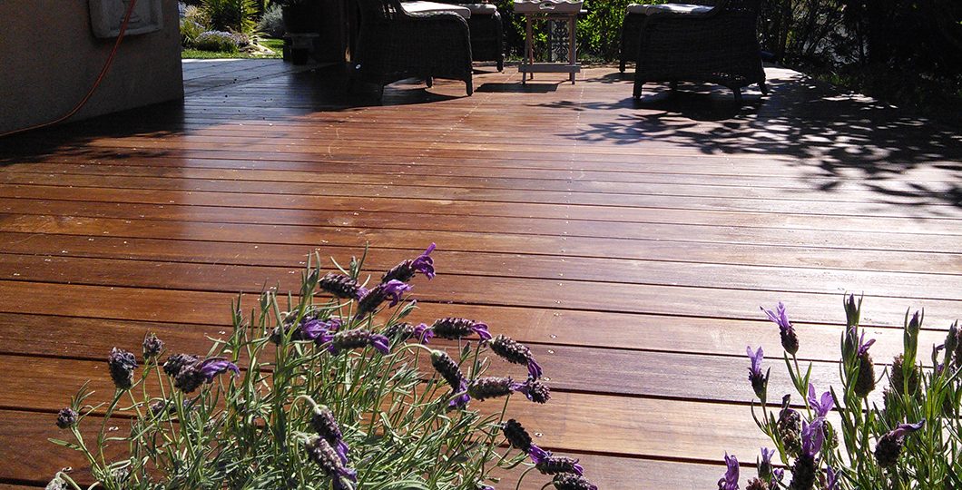 IPÉ : Présentation de cette essence de bois exotique